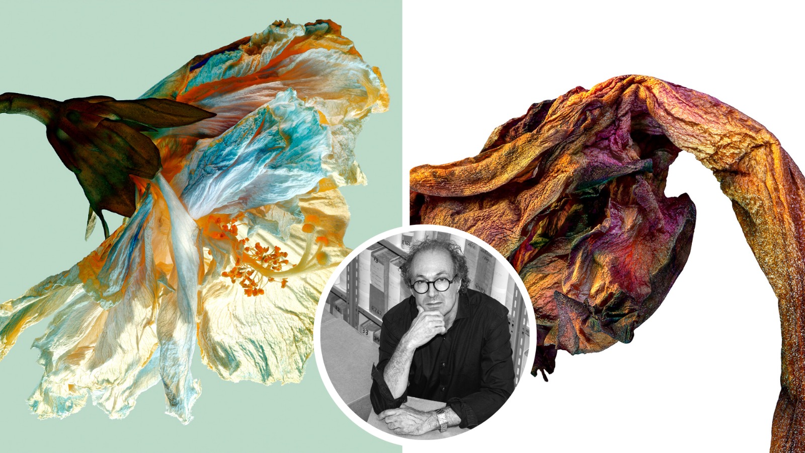 Withering and wrinkled flowers, Alex Attard tells us about his ongoing ...